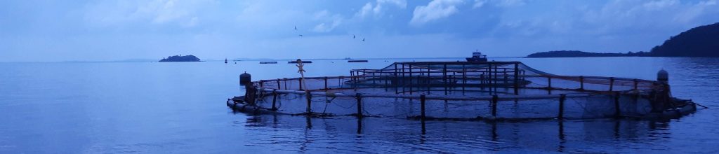 Aquatic Bioresources – Faculty of Urban and Aquatic Bioresources ...